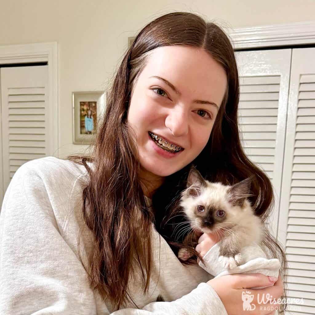 Ragdoll Kittens for Sale in Georgia: TICA Top Breeder