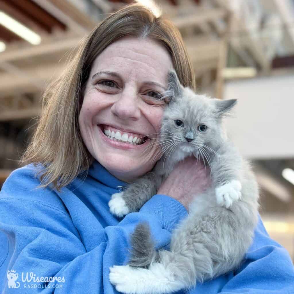 Ragdoll Kittens for Sale in Georgia: TICA Top Breeder
