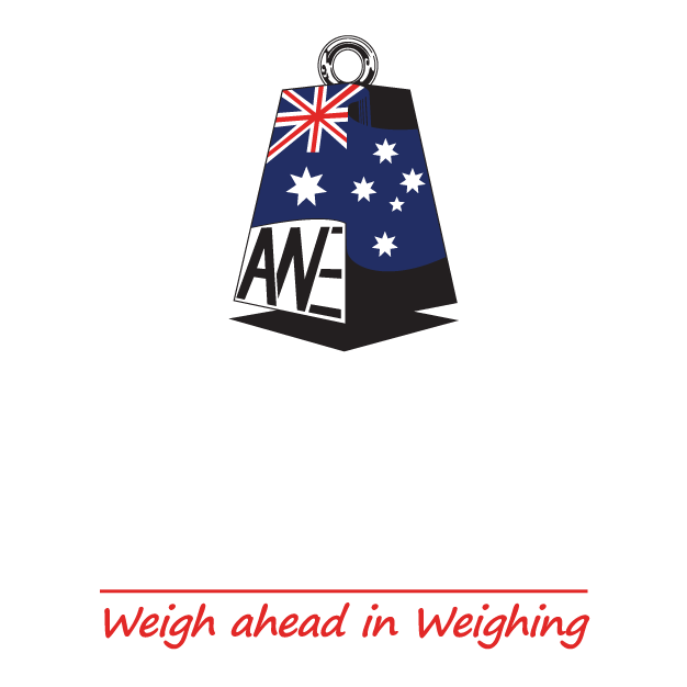 Truck Weighing Solutions: Accuracy, Safety & Efficiency for Your Fleet