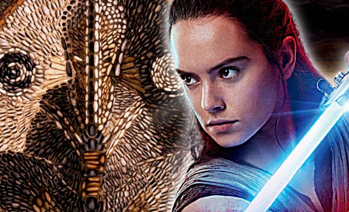 Star Wars: La teoría que relaciona a Rey con el Primer Jedi