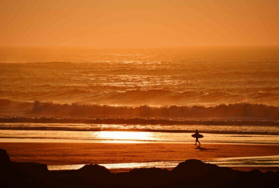 The Mariners, Rock | Cornwall Food & Drink
