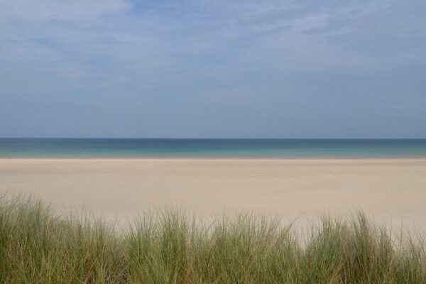Porthkidney Beach Guide | Key Info & Local Tips