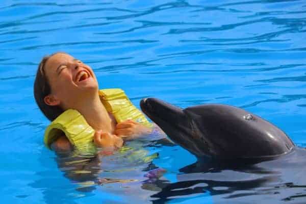 Lugares Para Nadar Con Delfines En Cancún Y Riviera Maya | El Rincón de Edy
