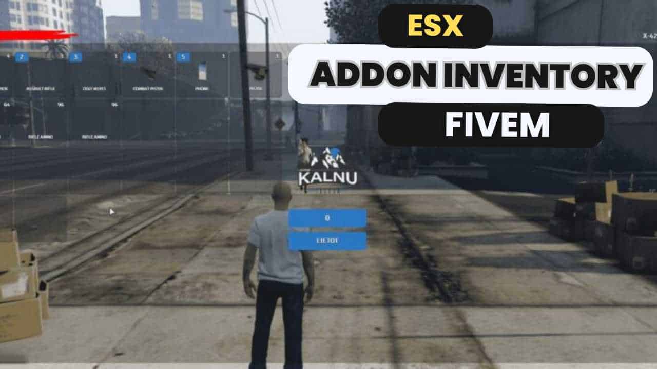 esx addon inventory fivem - FiveM Store