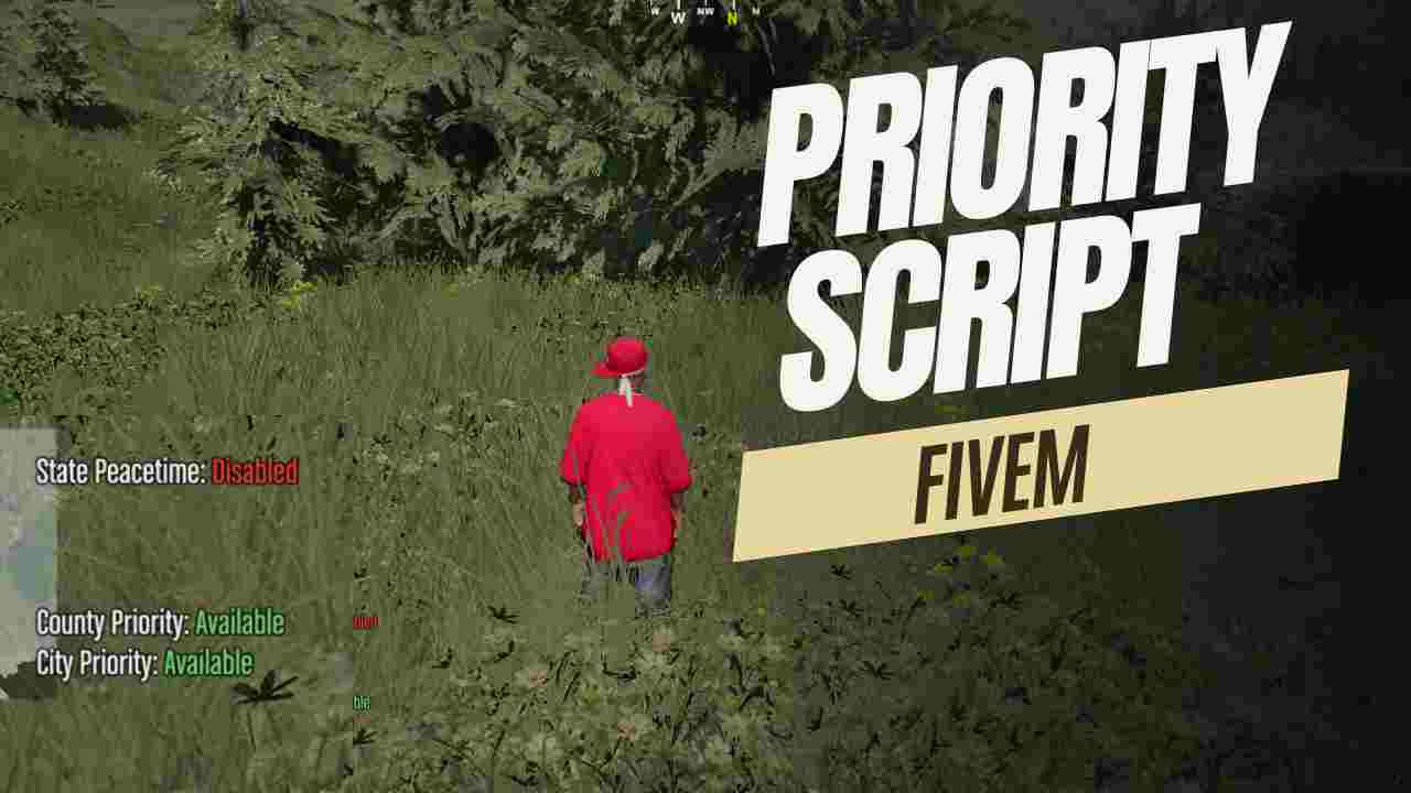 priority script fivem - FiveM Store