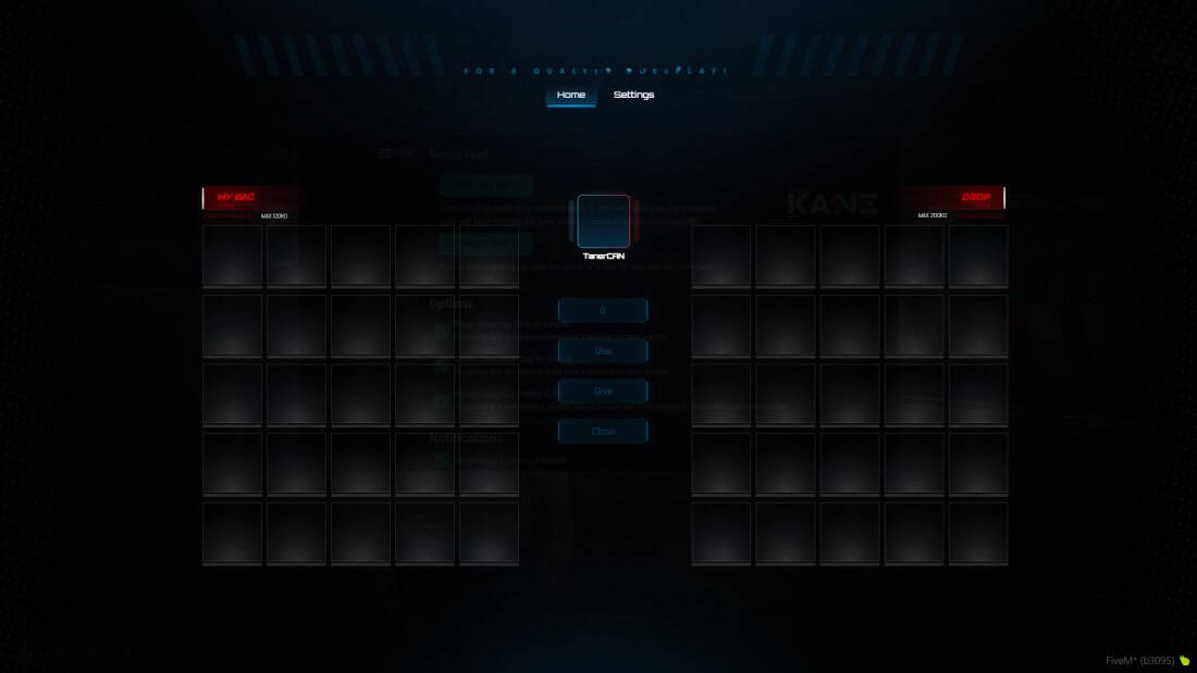 Fivem Inventory Script - FiveM Store