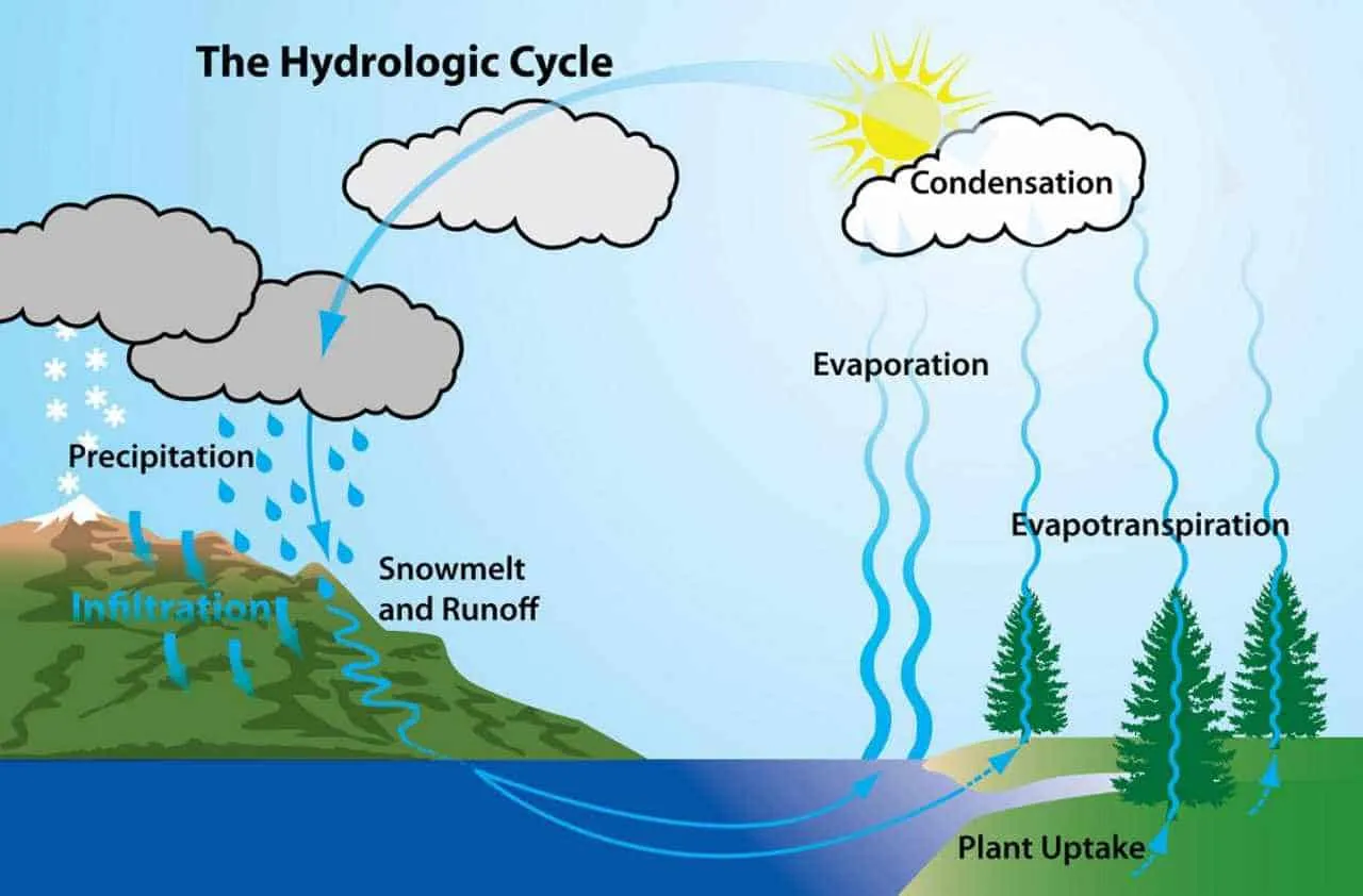 water cycle runoff example