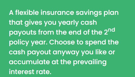 Gro Cash Flex Pro Review: What You Need To Know - Moneyline.SG ...