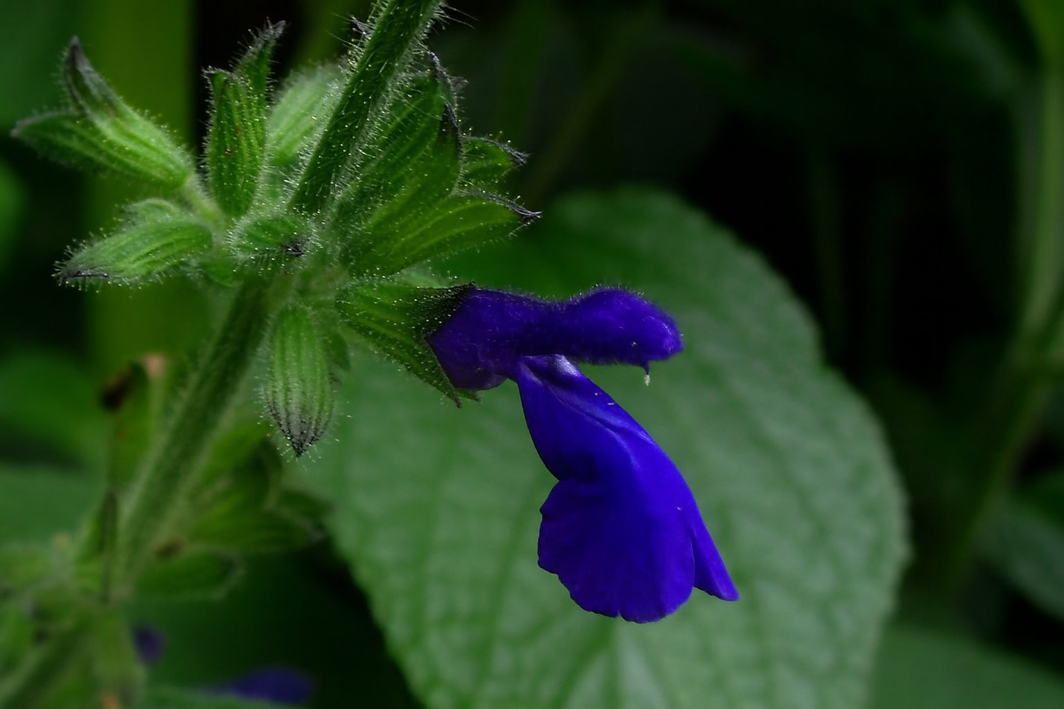 Latest and Upcoming Perfumes 2025 - New Fragrance Releases & Launches