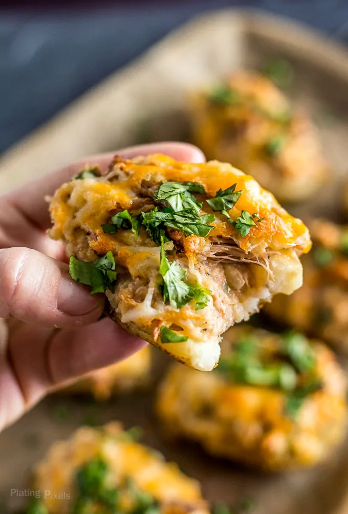 Slow Cooked Carnitas Loaded Potato Skins - Plating Pixels