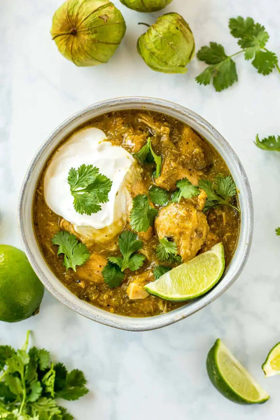 Chicken Chile Verde (With 3 Cooking Options) - Plating Pixels