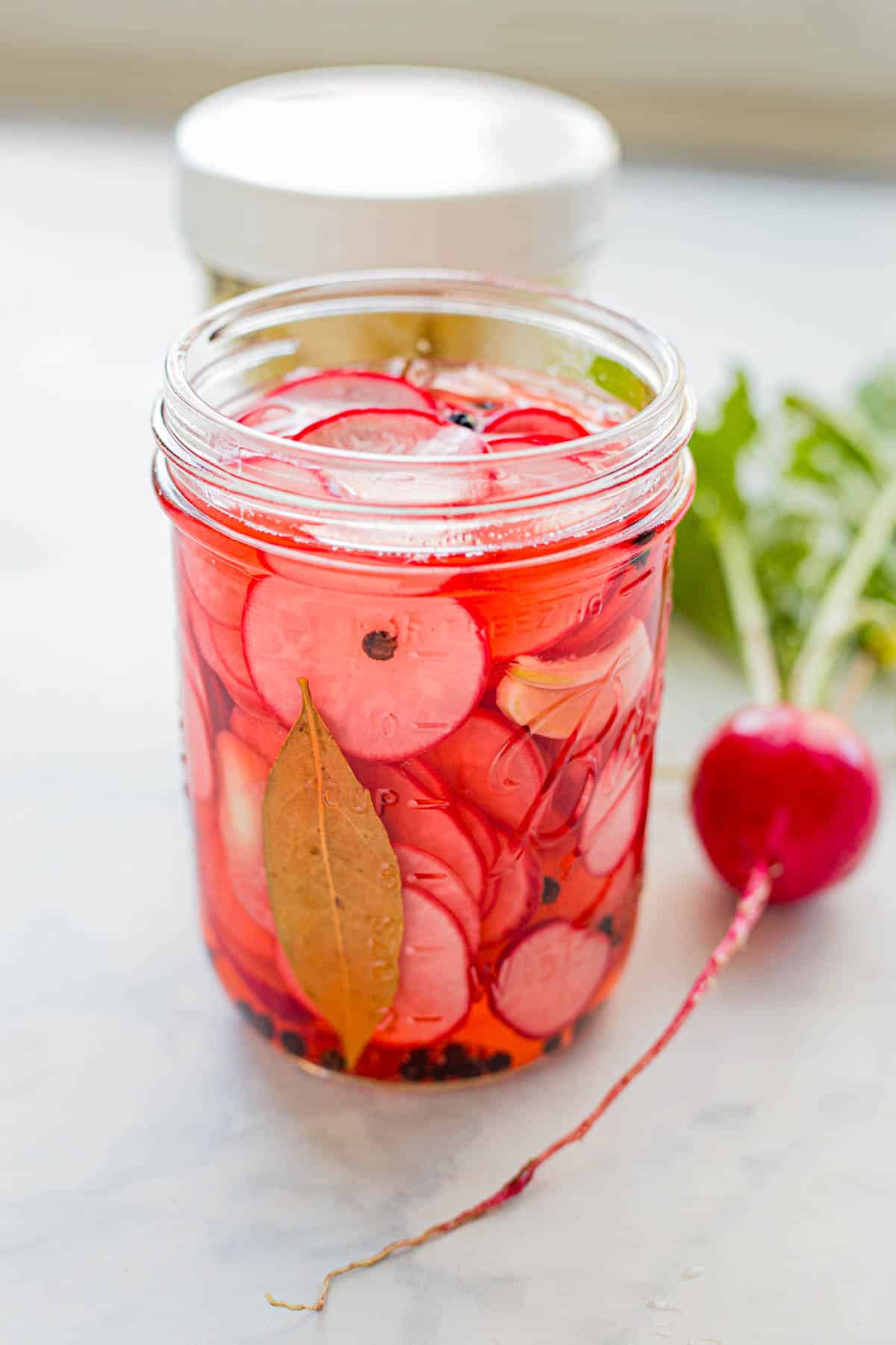 Refrigerated Pickled Radishes - Plating Pixels