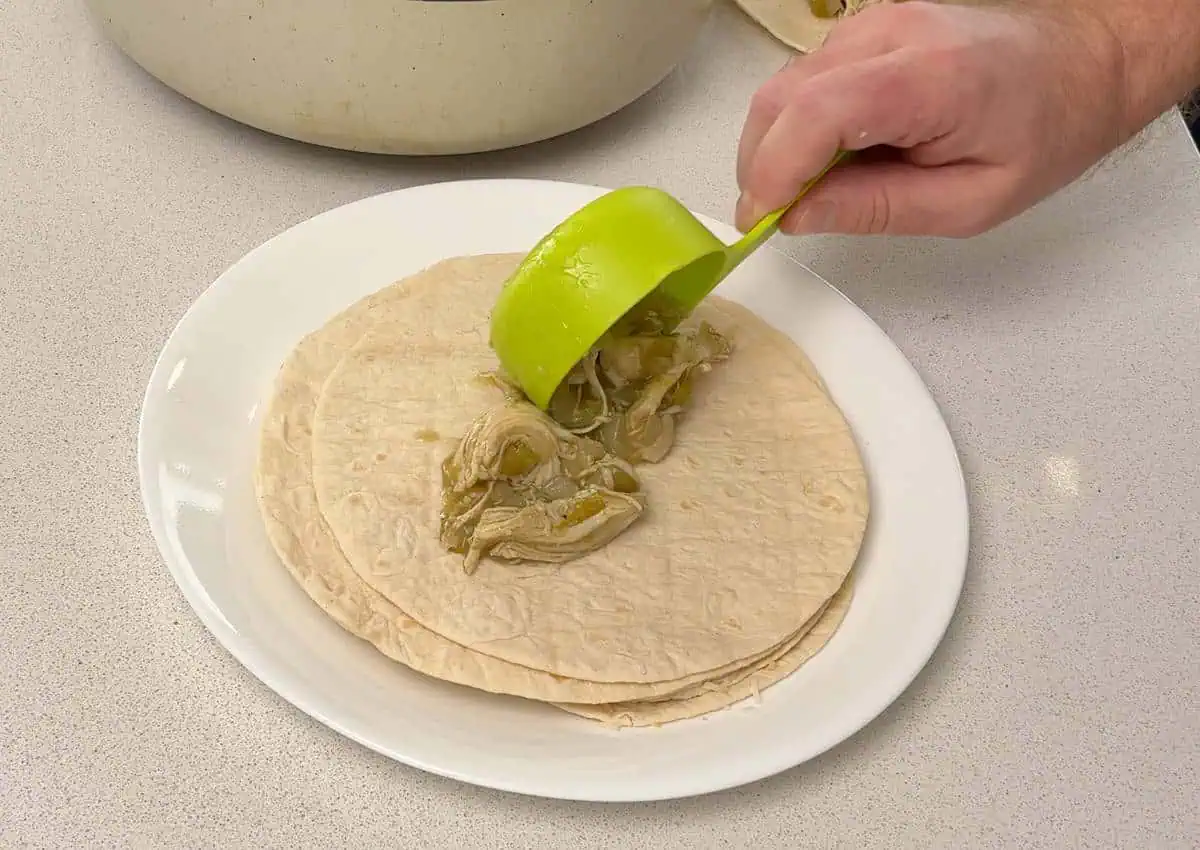 Easy Chicken Enchiladas with Green Sauce - Plating Pixels