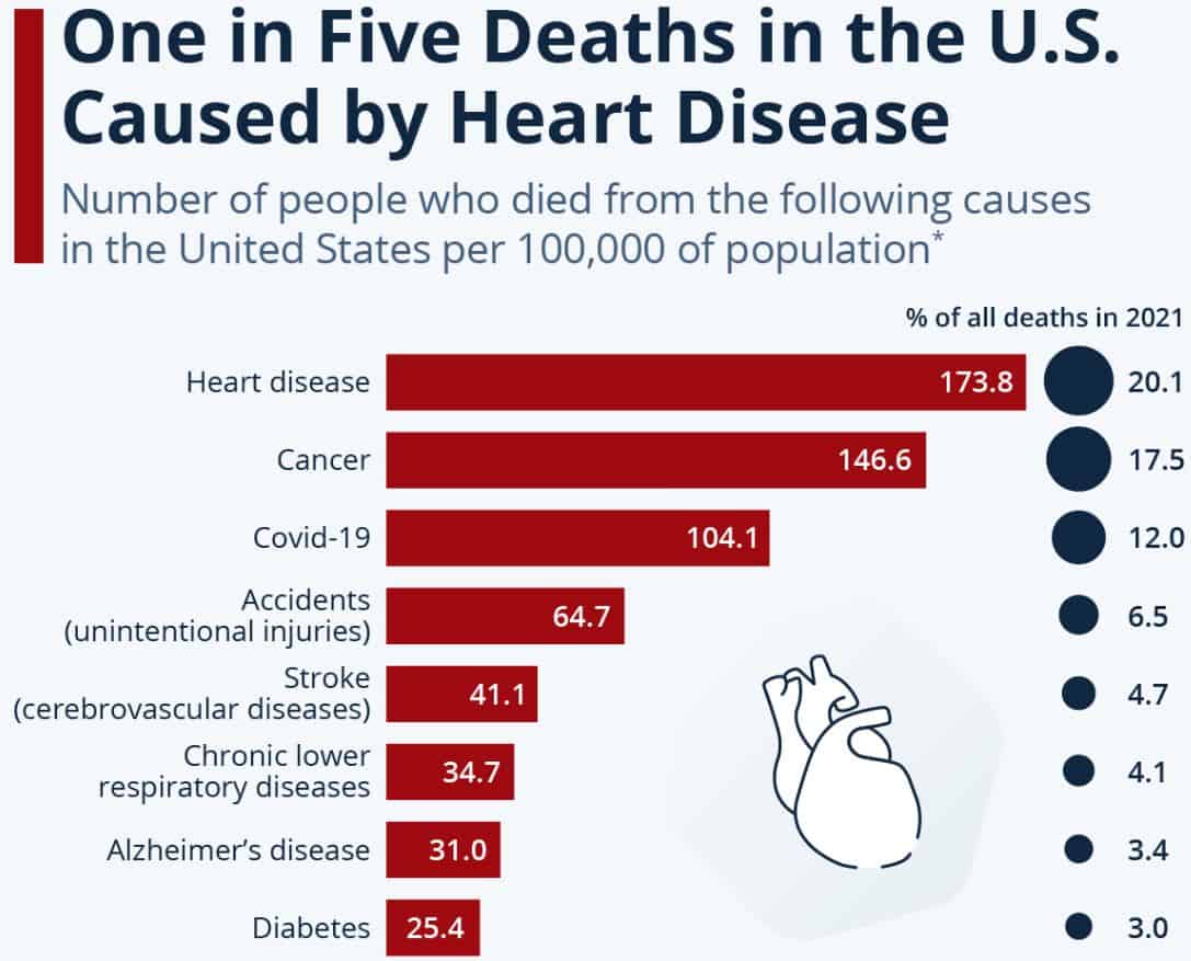 US Death Statistics By Death Rate, Age And Gender (2025)