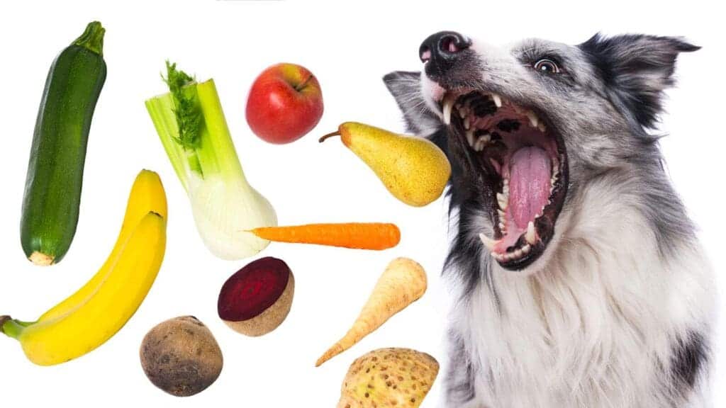 Fruits And Vegetables Dogs Can Eat: 35 Safe Options