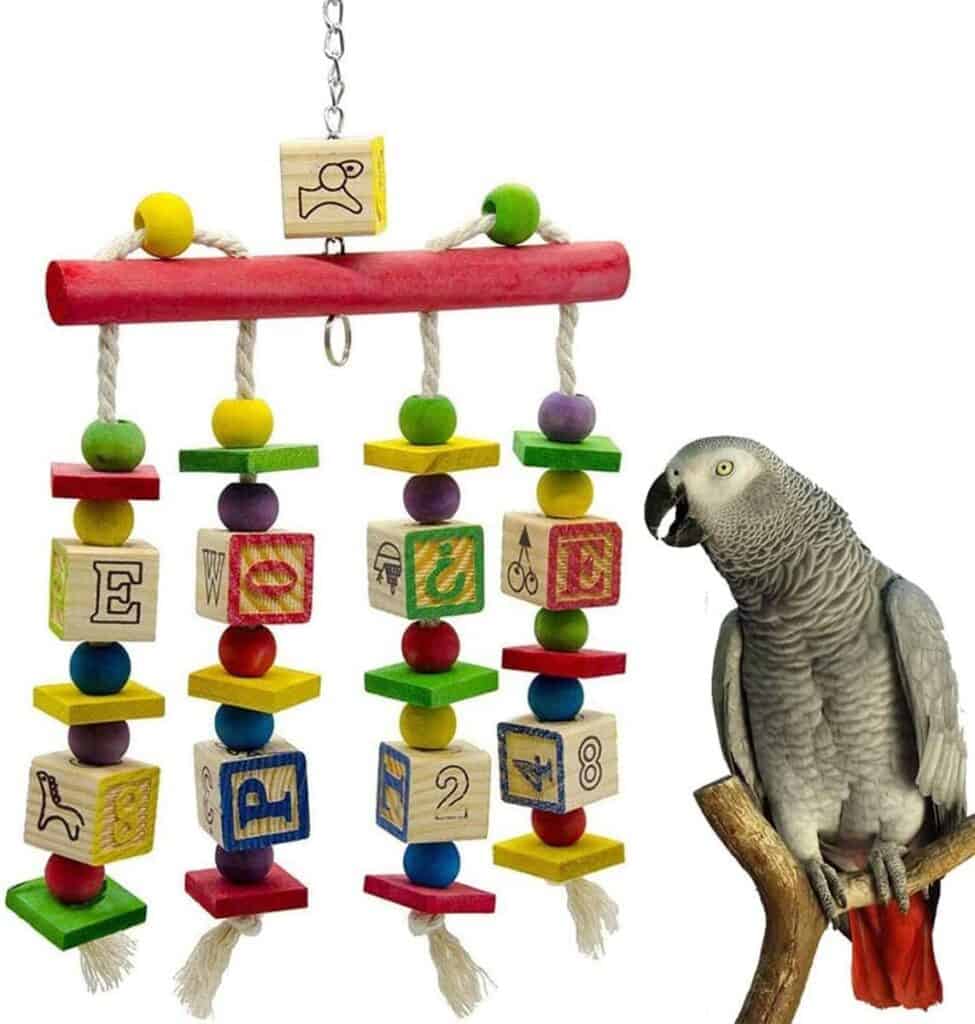 Top 10 Toys to Keep Your Parrot Entertained and Engaged