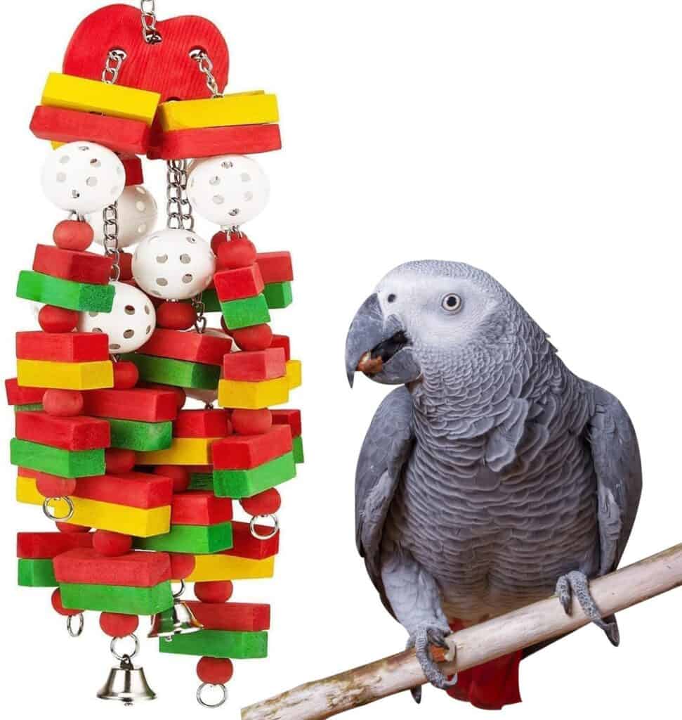 Top 10 Toys to Keep Your Parrot Entertained and Engaged