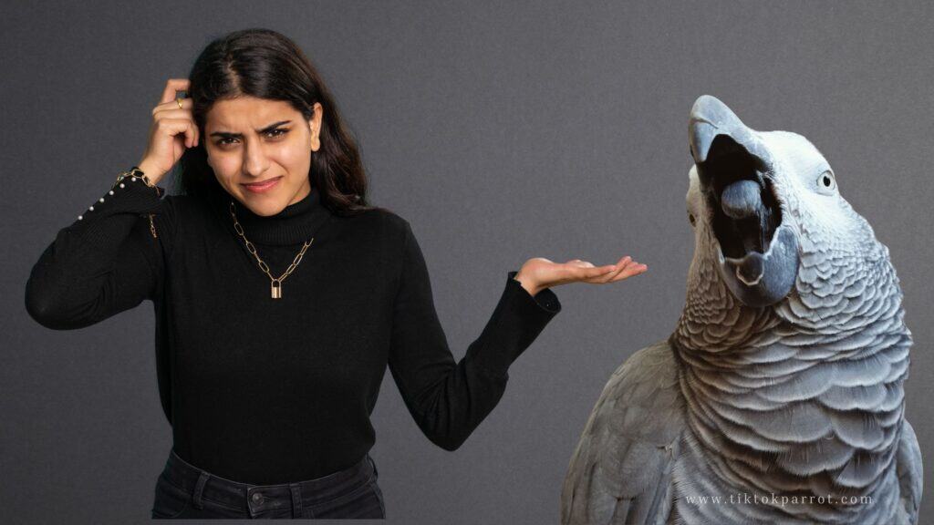 How to Change an African Grey’s One-Person Bond | Build Trust with Your ...