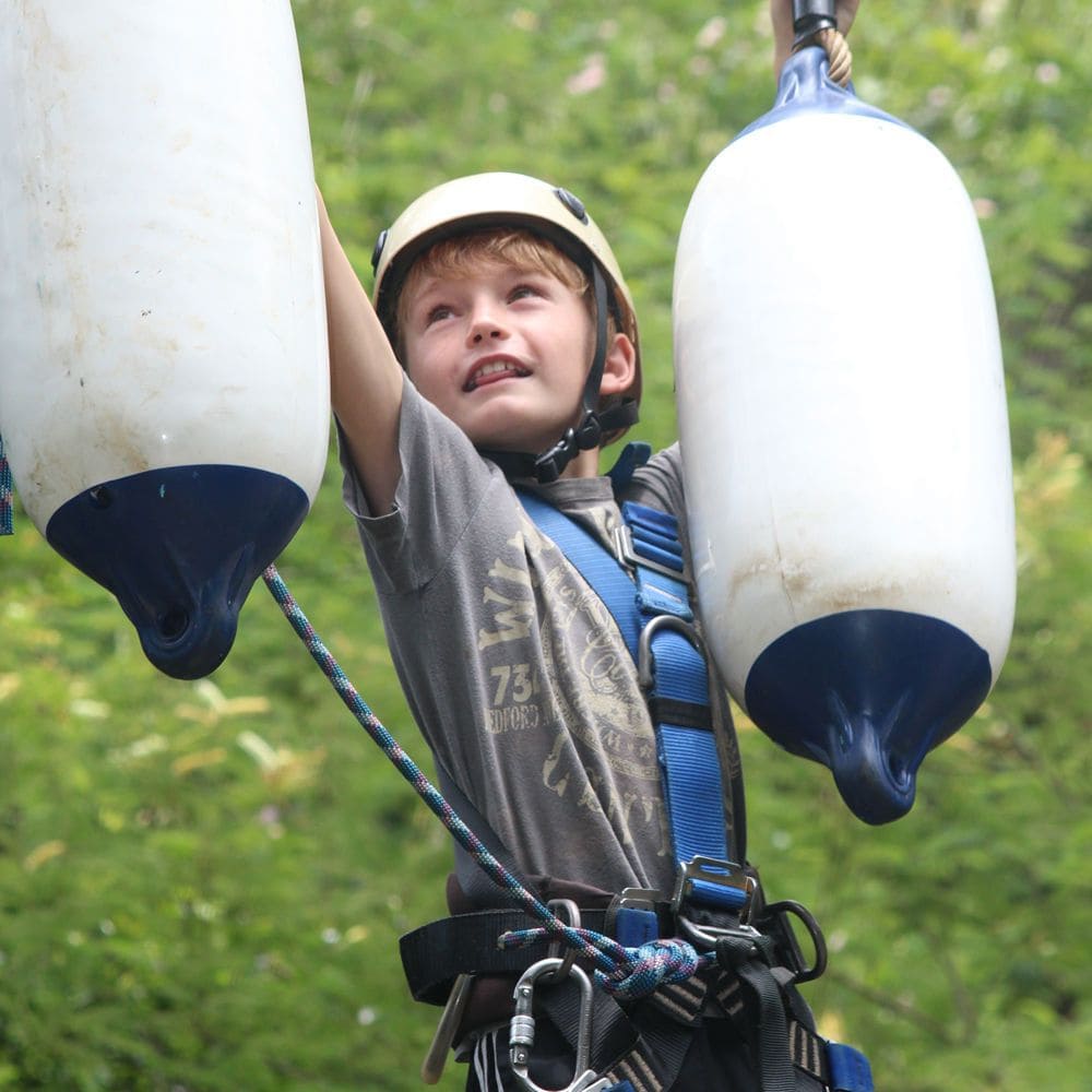 TREE TOP CHALLENGE - HAZYVIEW | Tours and Tickets SA