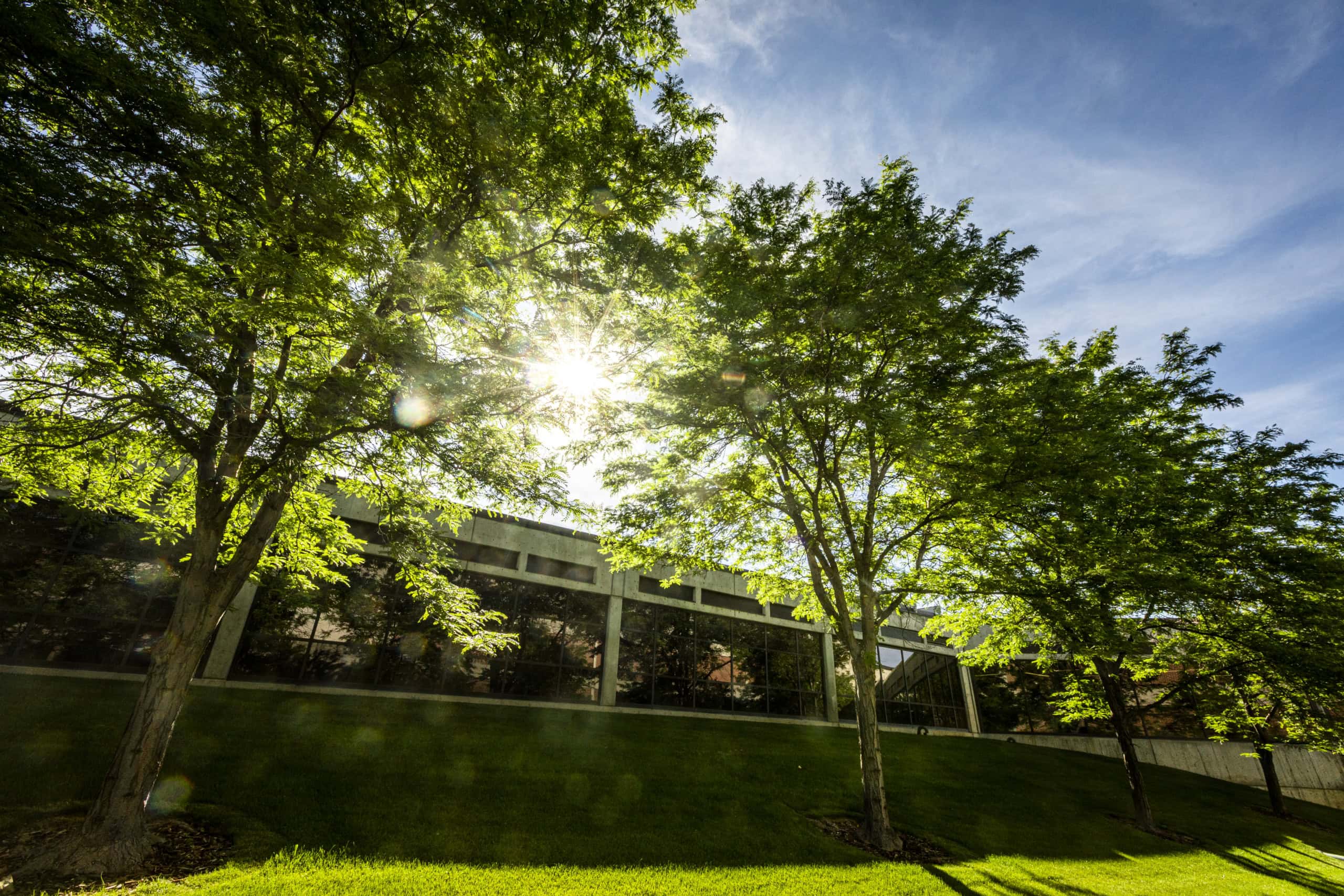 UVU: Inside the summer semester - UVU REVIEW