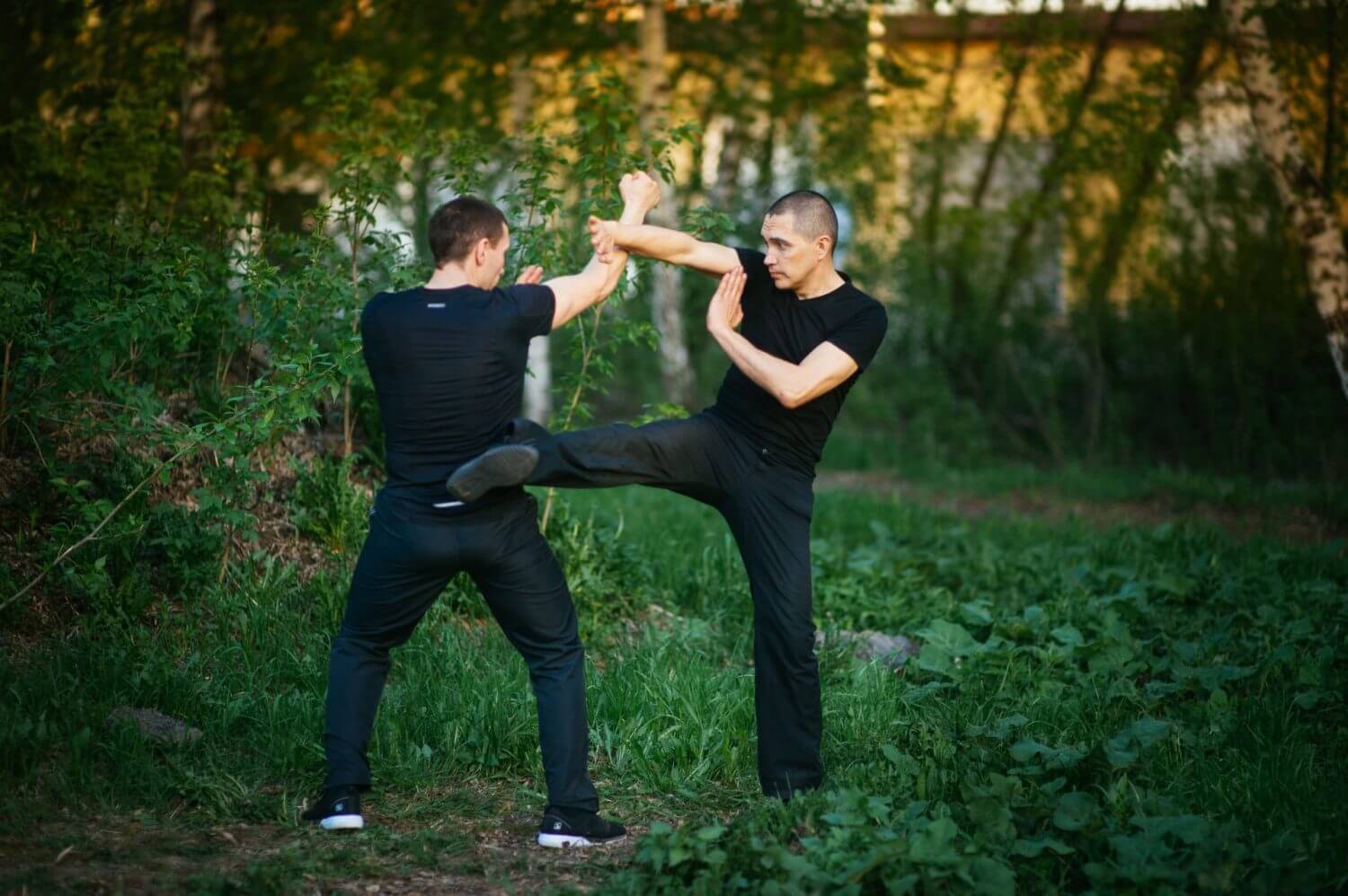 12 Best Martial Arts for Self-Defense, Fitness, and Sport