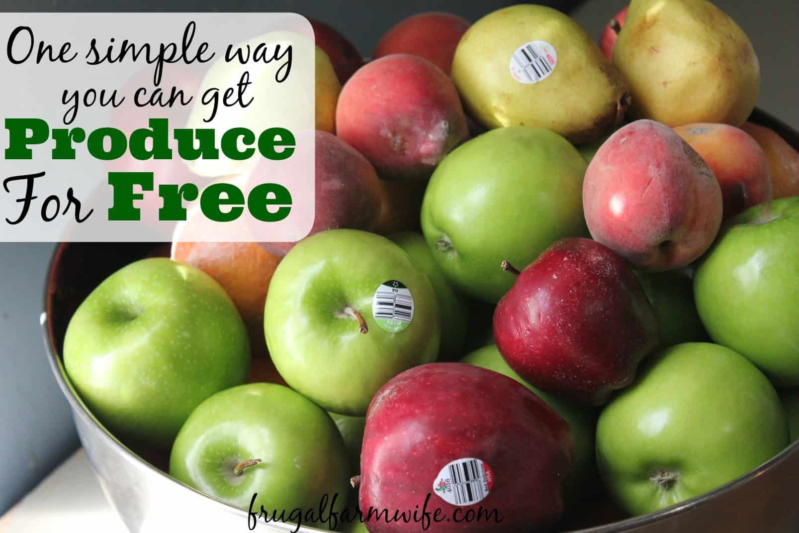 How To Get Free Produce - For Real! - The Frugal Farm Wife