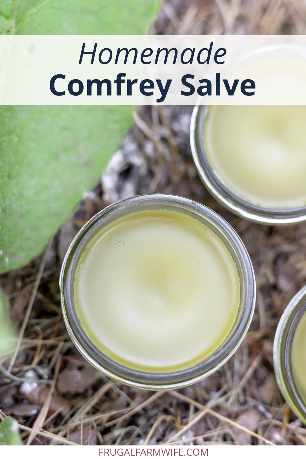Comfrey Salve Recipe | Frugal Farm Wife