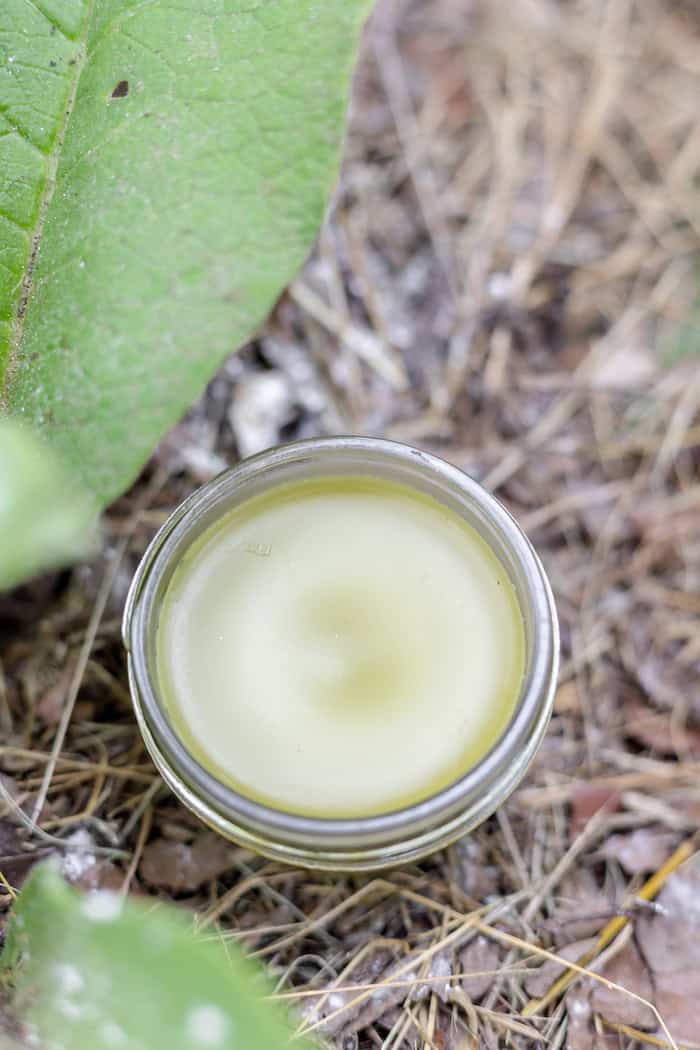 Comfrey Salve Recipe | Frugal Farm Wife
