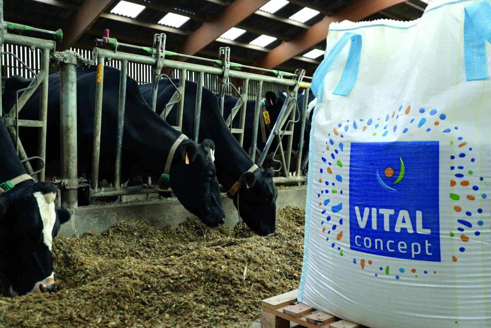 Catalogue Vital Concept 2024-2025 : le compagnon technique ...