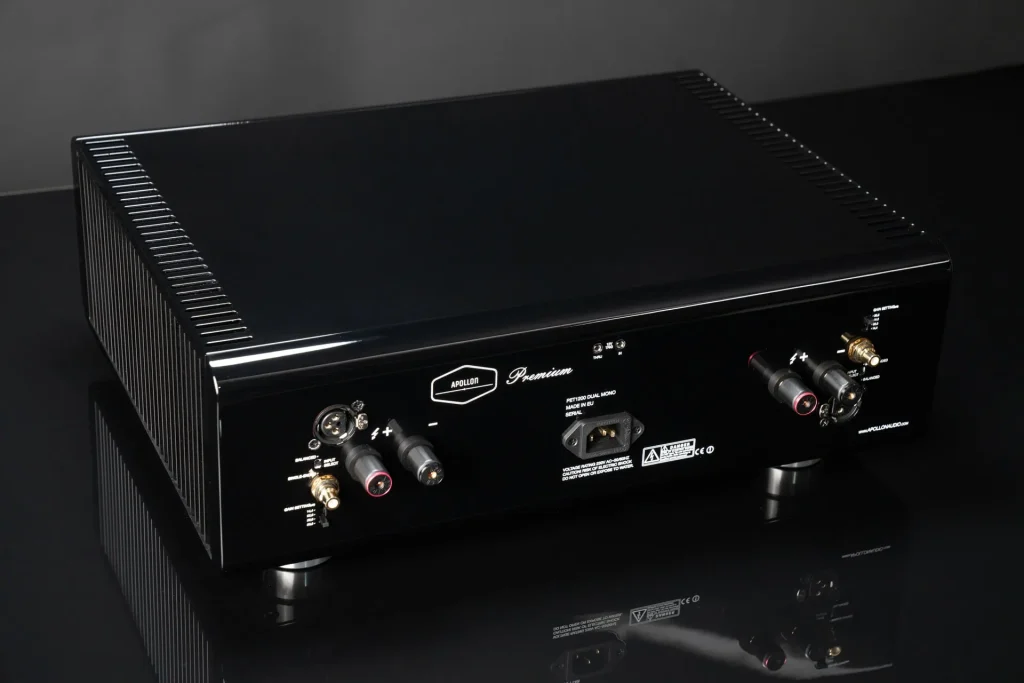Purifi 1ET9040BA Eigentakt Dual Mono Premium Amplifier PET1200DM