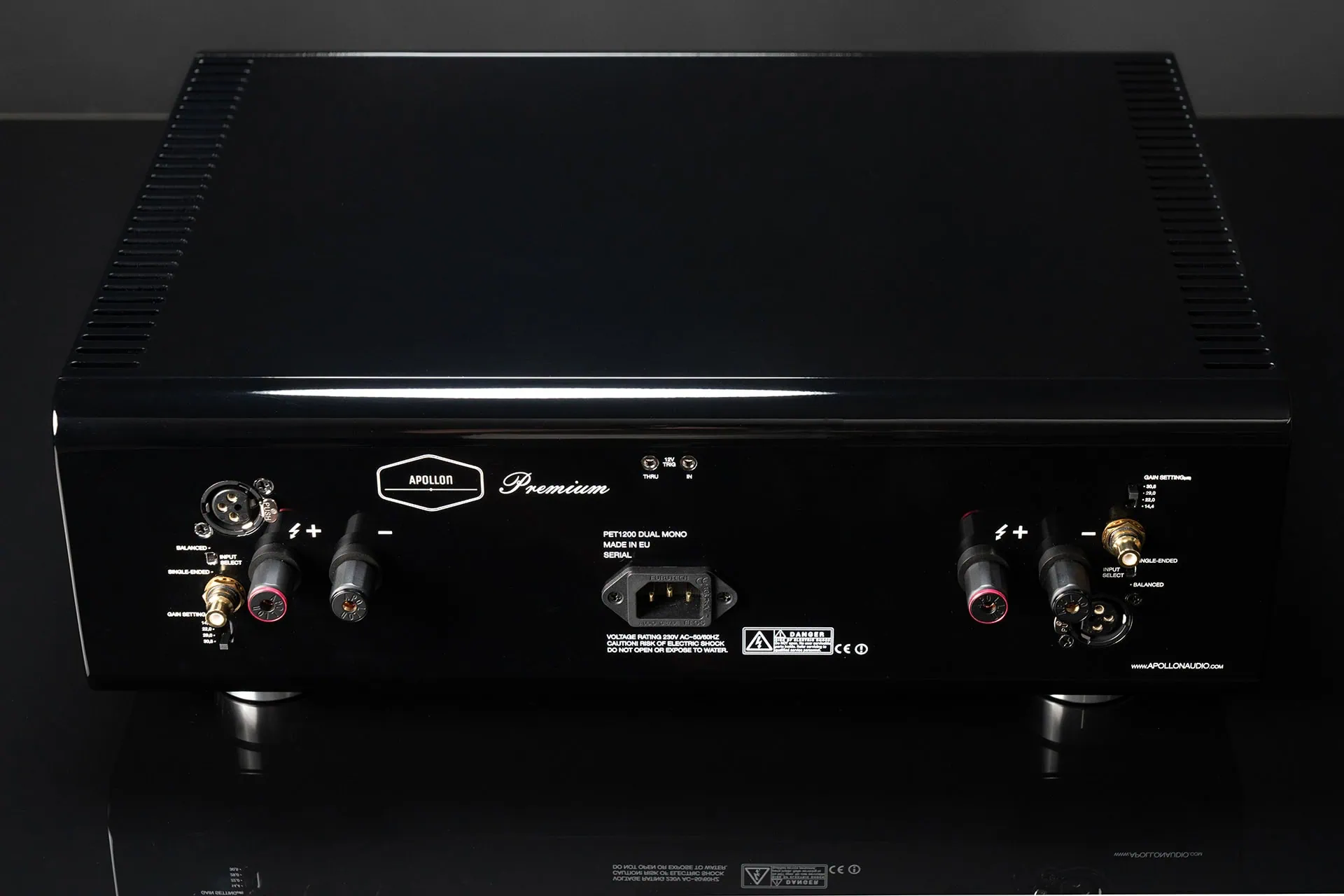 Purifi 1ET9040BA Eigentakt Dual Mono Premium Amplifier PET1200DM