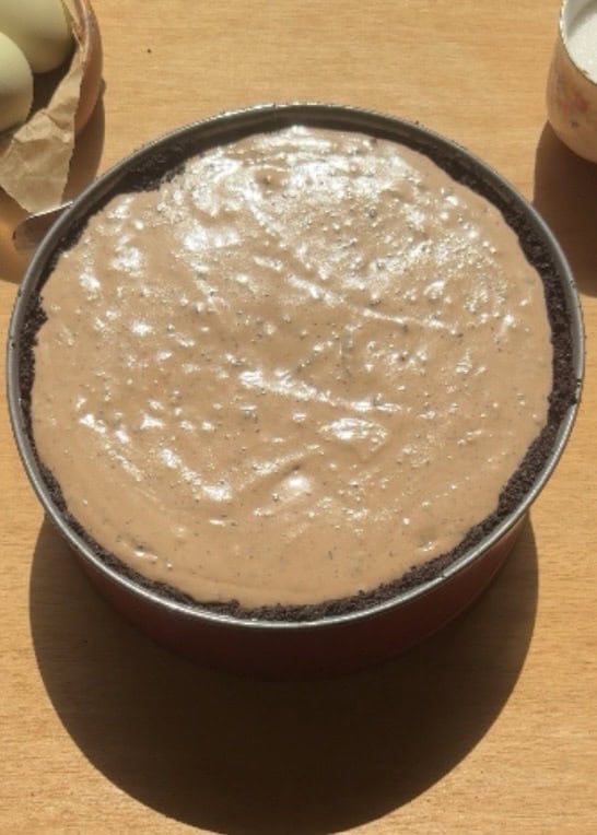 No Bake Creamy Nutella Stracciatella Cheesecake (6 ingredients) — ARCHER'S FOOD