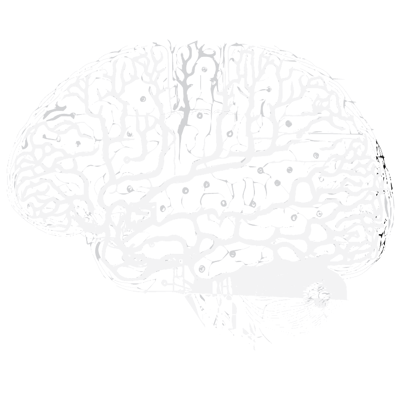 MeRT for Autism San Jose CA | Brain Performance Technologies