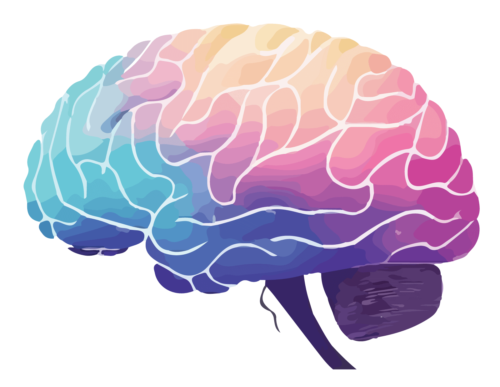 Meet Wave NeuroScience, Brain Performance Technologies Partner