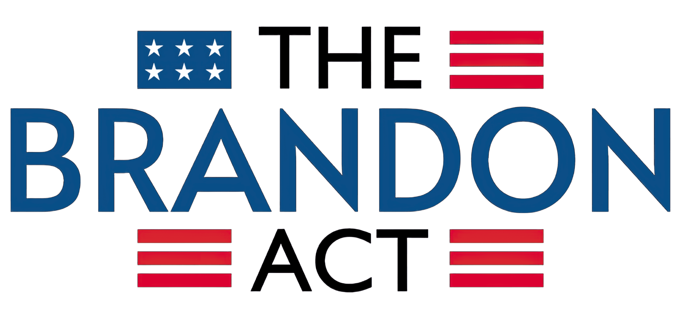 The Brandon Project - Brain Performance Technologies