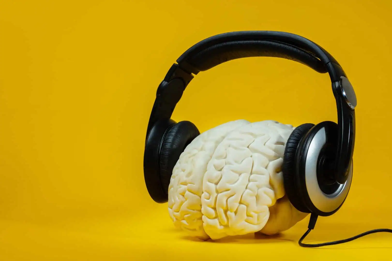 MeRT Treatment for Autism: Brain Performance Technologies