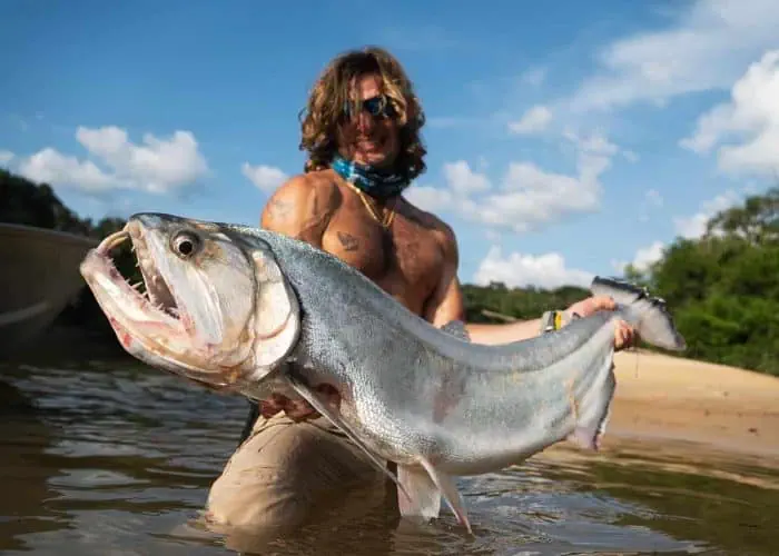 Payara | Bucket List Fish Species