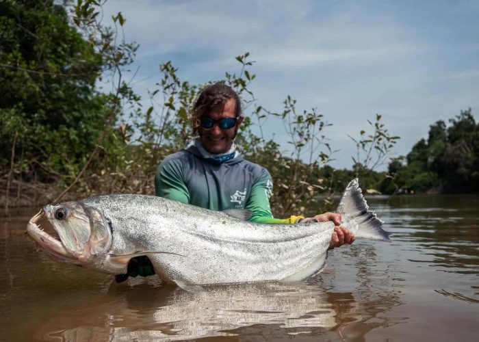 Payara | Bucket List Fish Species