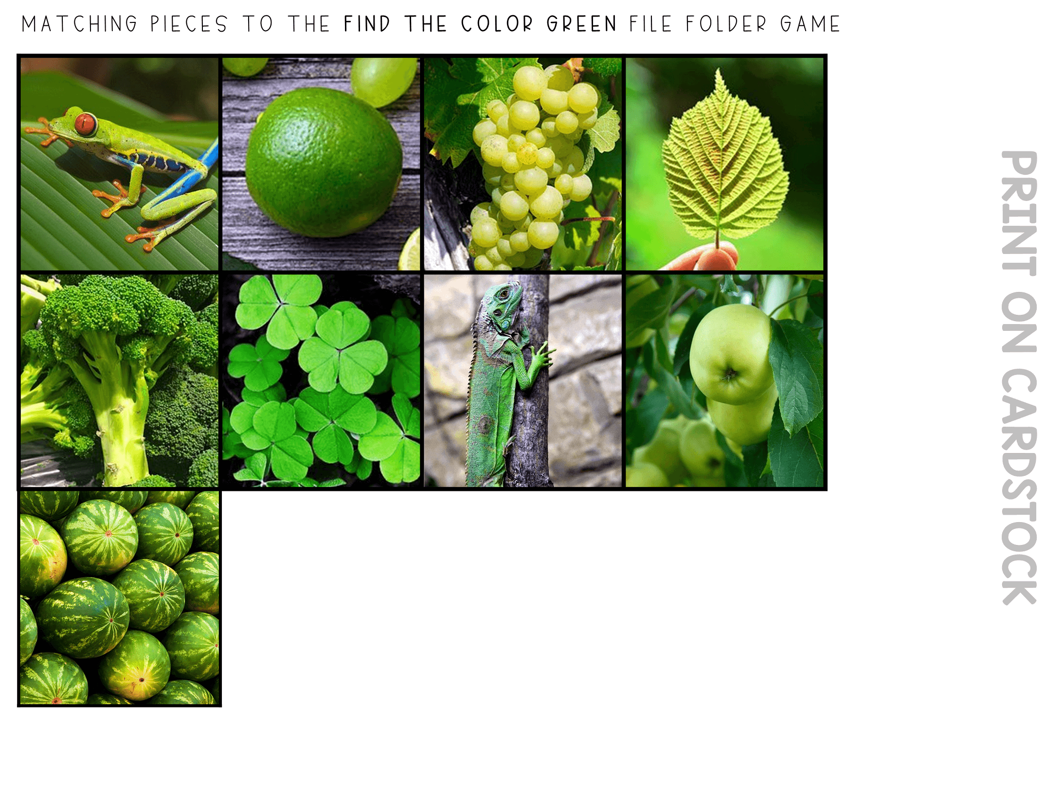 Errorless Colors File Folder Games {12 different file folder games ...