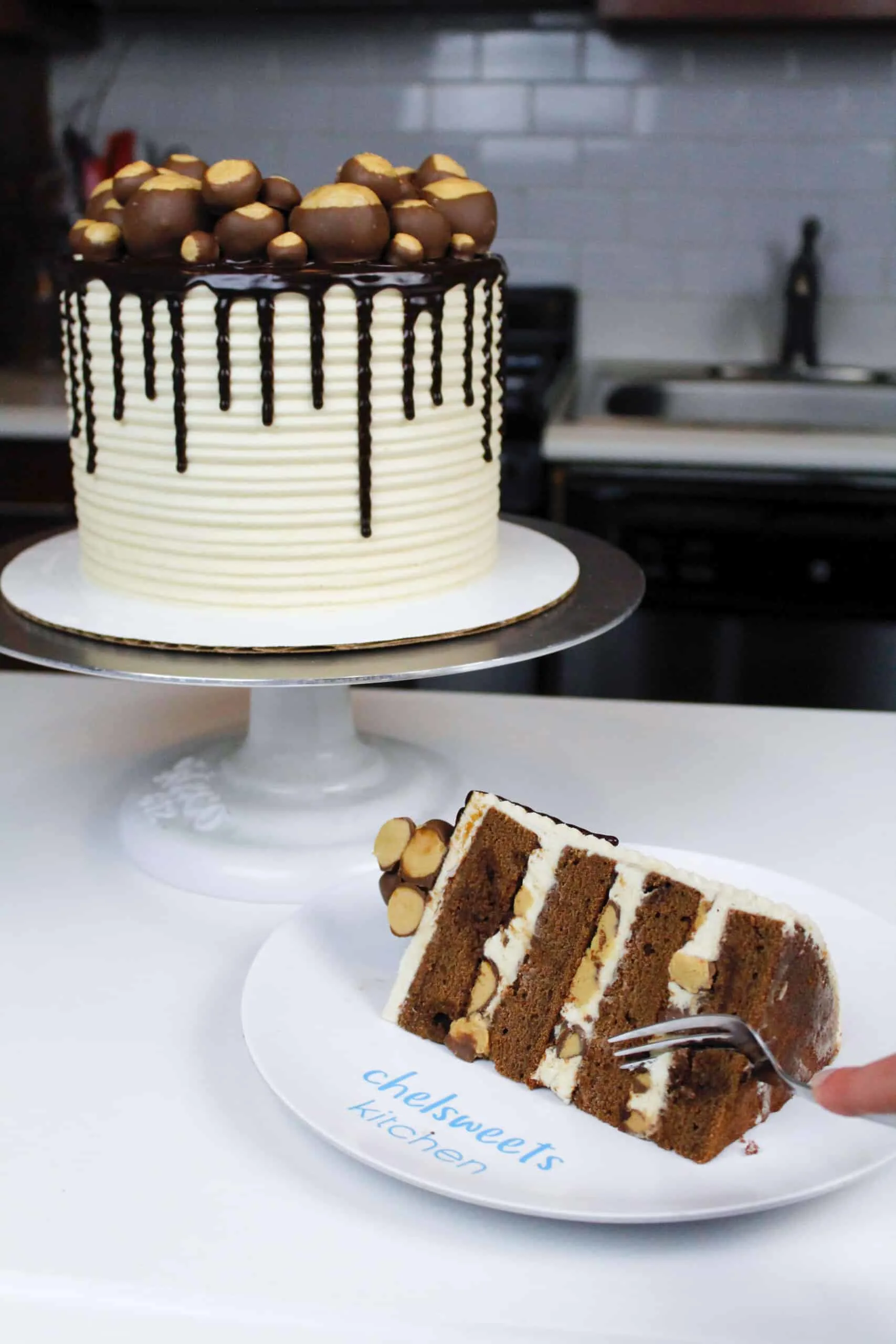 Buckeye Cake: Moist Chocolate Cake w/ PB Frosting - Chelsweets