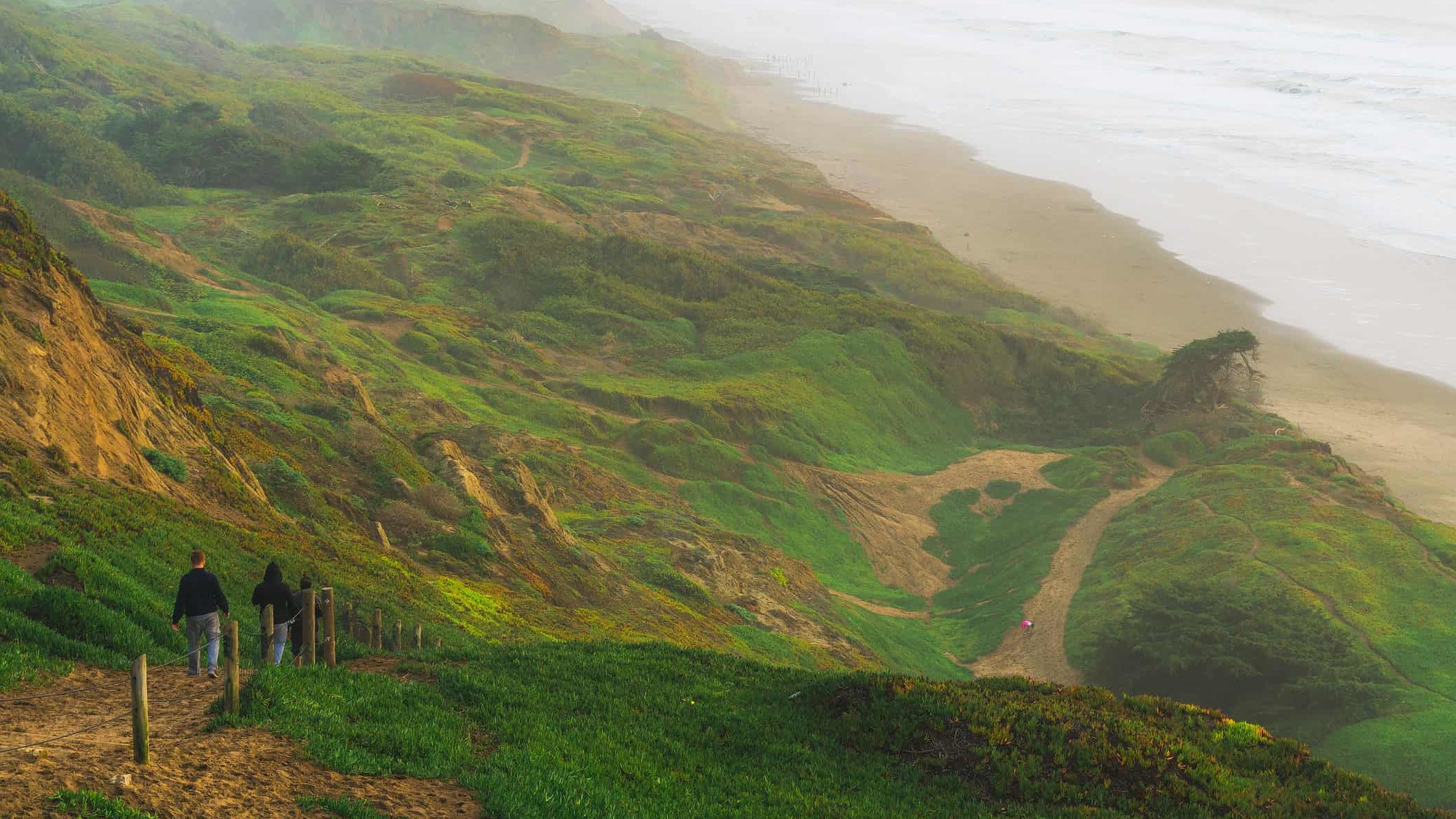 Fort Funston – DogTrekker