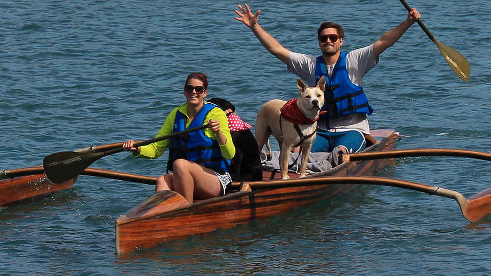 Paddle with pups in magical Mendocino – DogTrekker