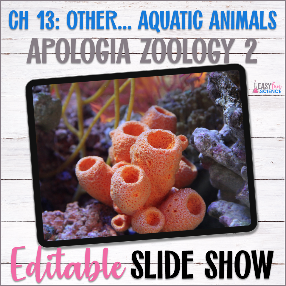 Apologia Zoology 2 Swimming Creatures Ch 13 Other Interesting Aquatic ...