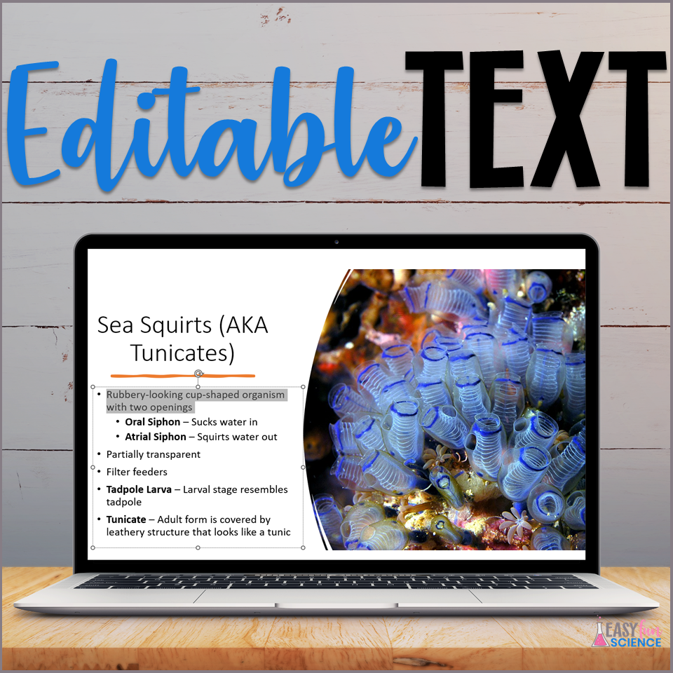 Apologia Zoology 2 Swimming Creatures Ch 13 Other Interesting Aquatic ...