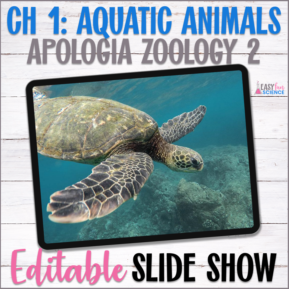 Apologia Zoology 2 Swimming Creatures Ch 1 Aquatic Animals Slideshow ...