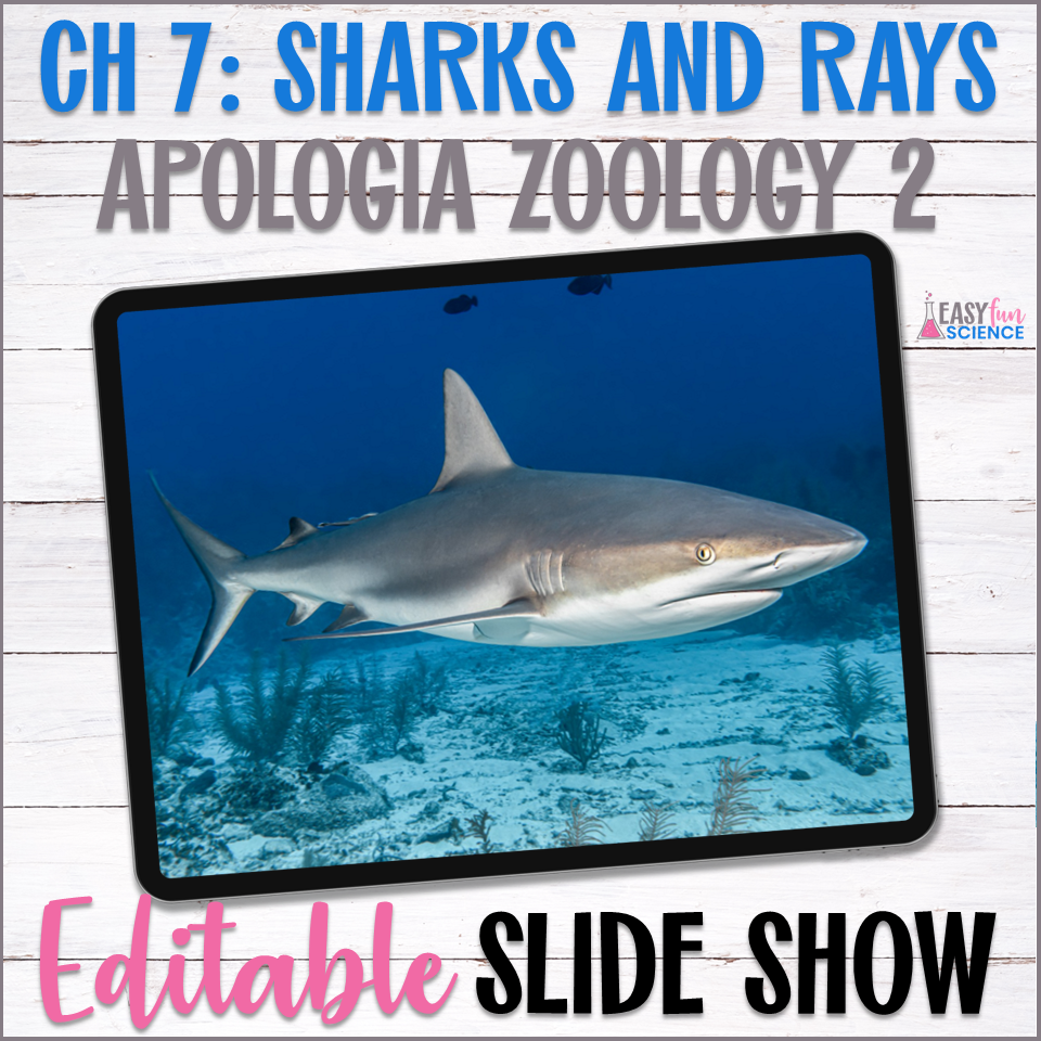 Apologia Zoology 2 Swimming Creatures Ch 3 Seals & Sea Cows Slideshow ...