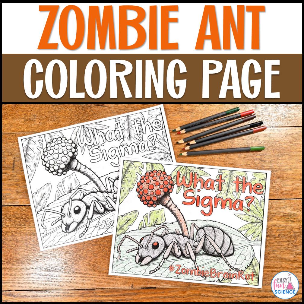 What the Sigma? Zombie Animals Coloring Page - Easy Fun Science