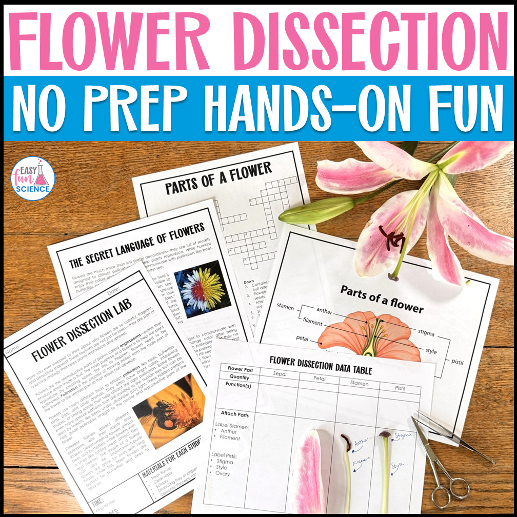 Flower Dissection Lab Activity Hands-On Plant Biology Science Lab ...