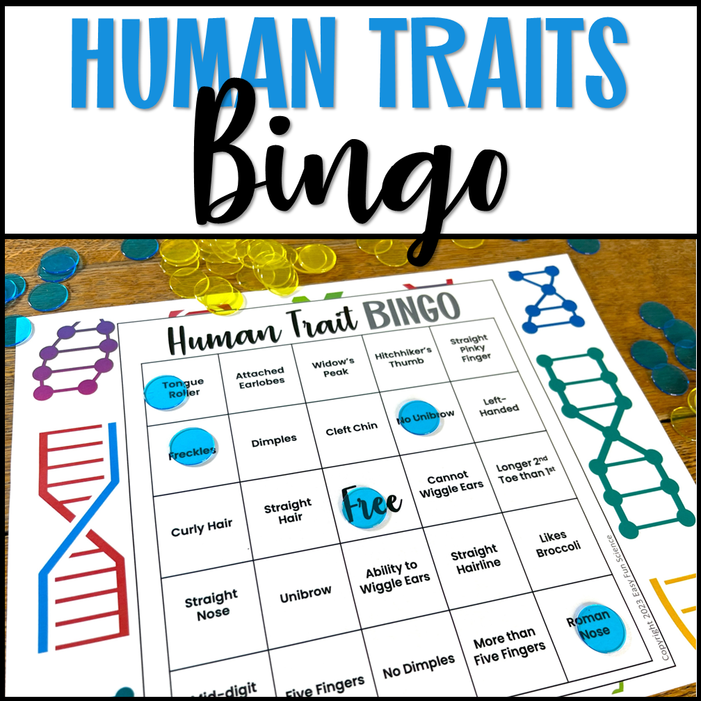 Inherited Traits Bingo Fun Genetics Activity for Middle School Science ...