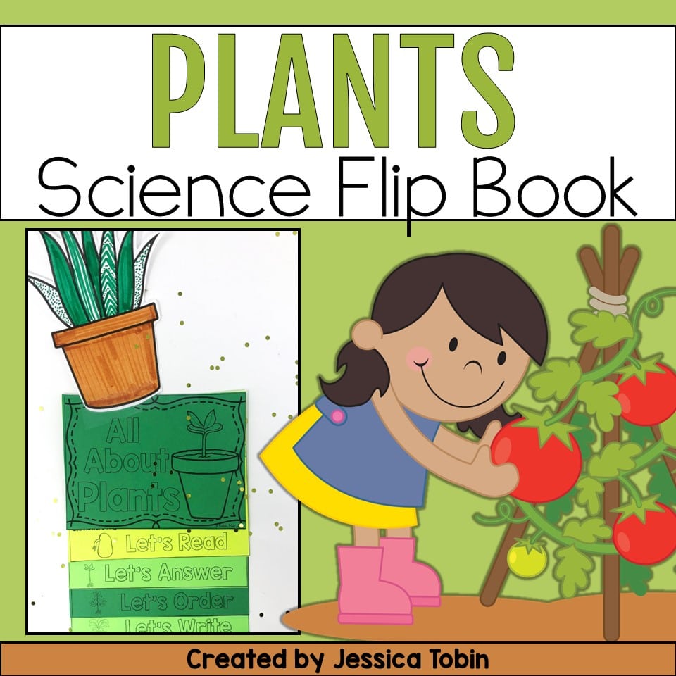 3 Plant Activities And A Simple Experiment To Teach The Plant Life Cycle